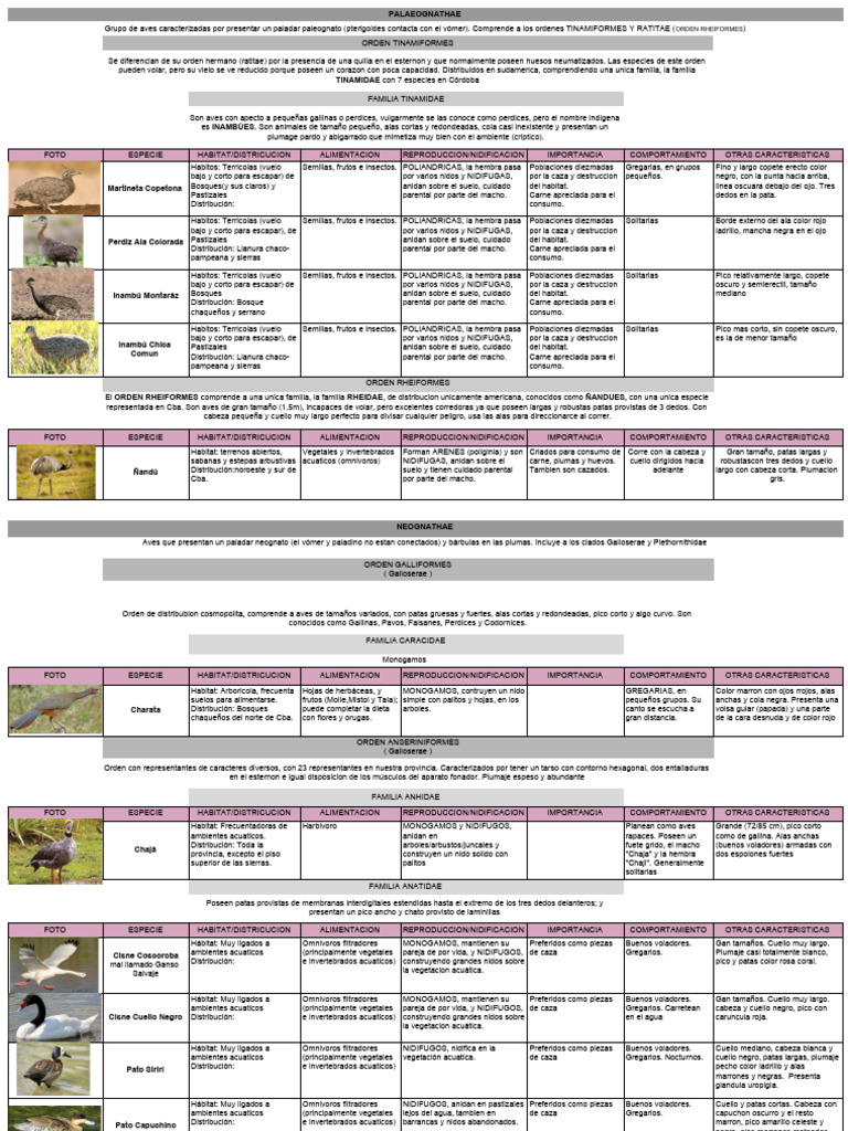 Ficha Aves | PDF