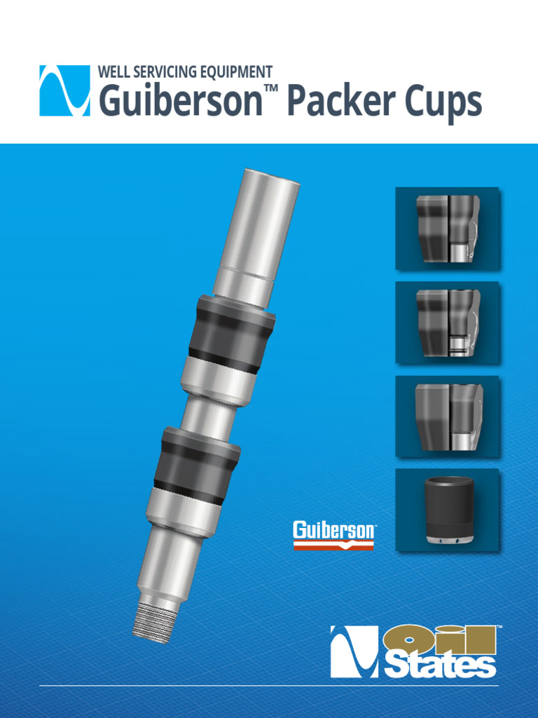Guiberson Packer Cup Brochure 2020 | PDF | Casing (Borehole) | Pipe ...