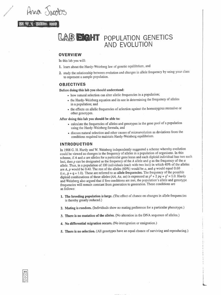 Population Genetics and Evolution | PDF