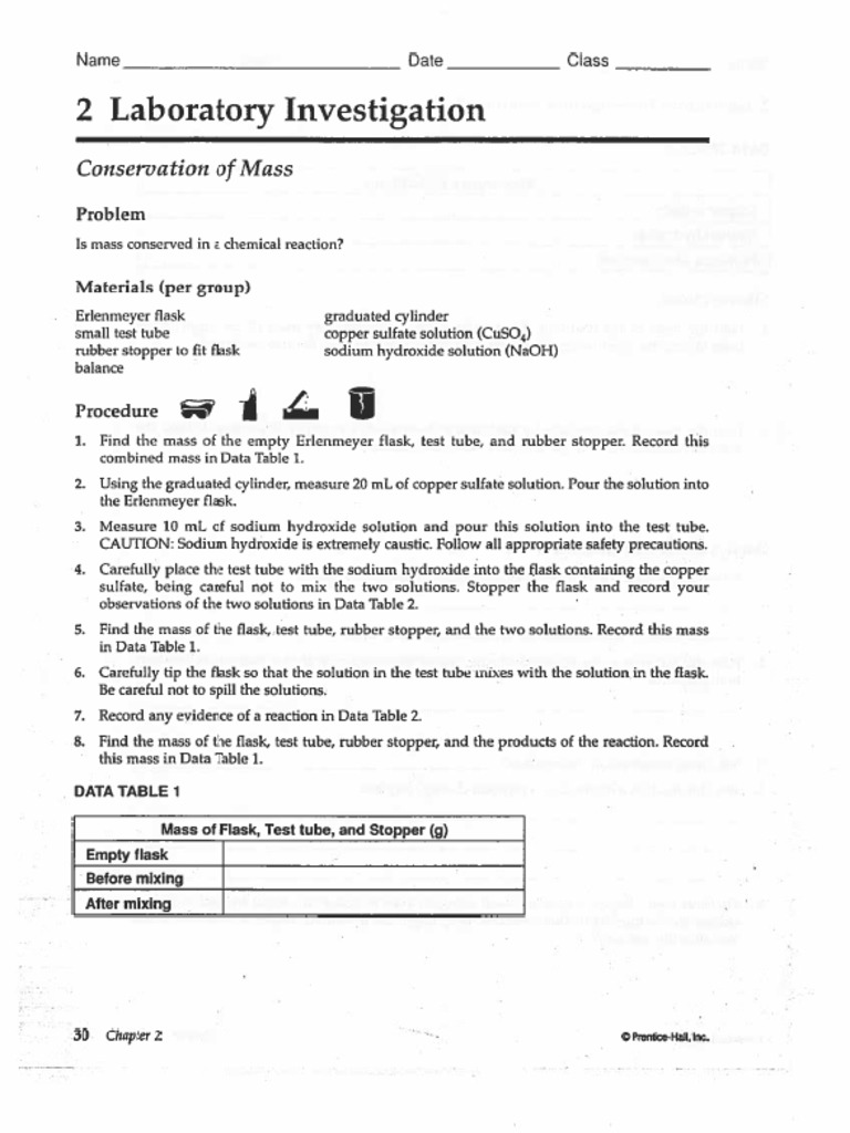 Lab-Conservation of Mass | PDF