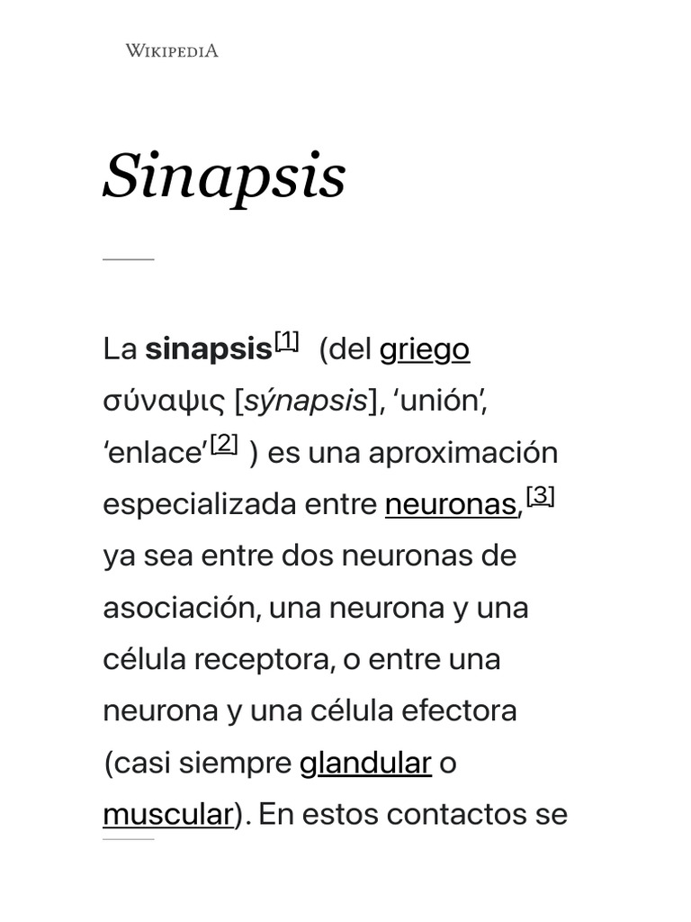 Sinapsis - Wikipedia, La Enciclopedia Libre | PDF | Sinapsis | Neurona