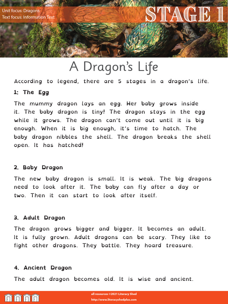 Dragon Life Cycle Explained | PDF | Language Arts & Discipline ...