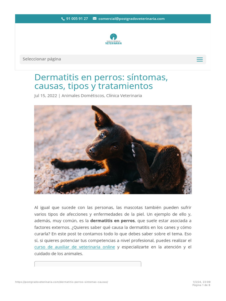 Dermatitis Canina: Síntomas y Tratamientos | PDF | Alergia | Medicina ...