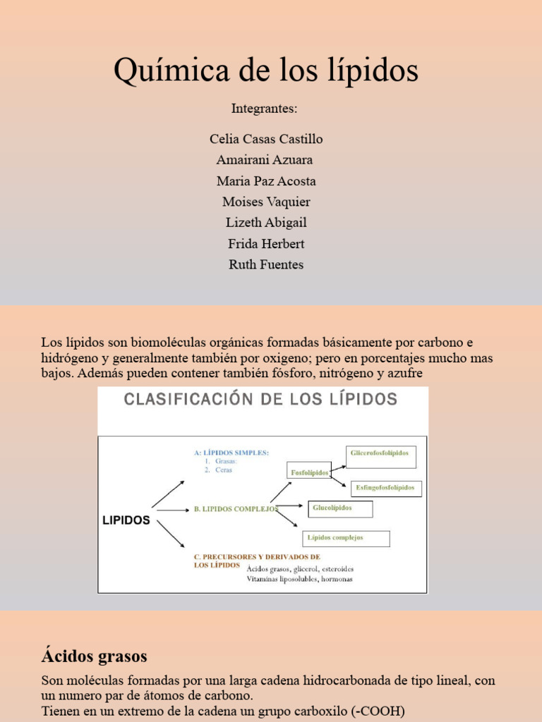 Química de Los Lípidos | PDF | Lípido | Ácido graso