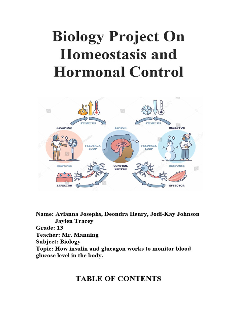 BIOLOGY PROJECT. Homeostasis | PDF | Insulin | Biochemistry