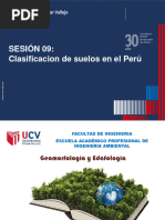 Suelos Fluvisoles: Importancia y Uso | PDF | Suelo | Riego