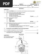 SETSWANA Grade 9 GEC Int Proj 2023 - Learner's Workbook | PDF