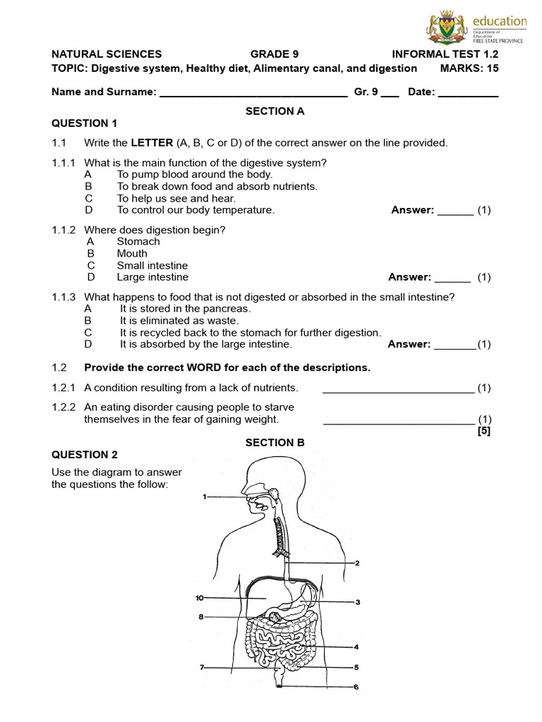 Grade 9 Digestive System Test | PDF | Digestion | Gastrointestinal Tract