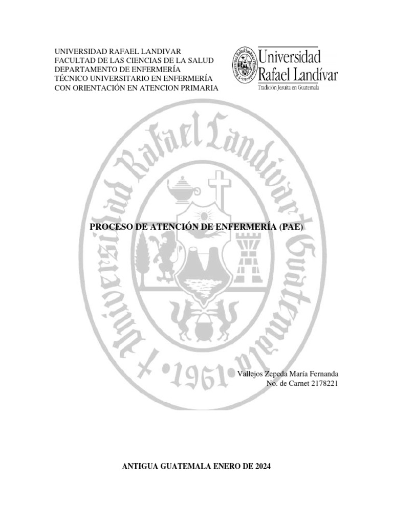 Proceso de Atención de Enfermería (PAE) | PDF | Enfermería | Hospital