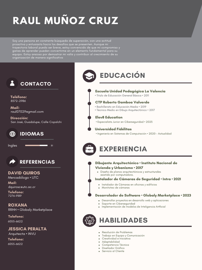 Currículum Raúl Muñoz C - 20240218 - 225112 - 0000 | PDF | Informática
