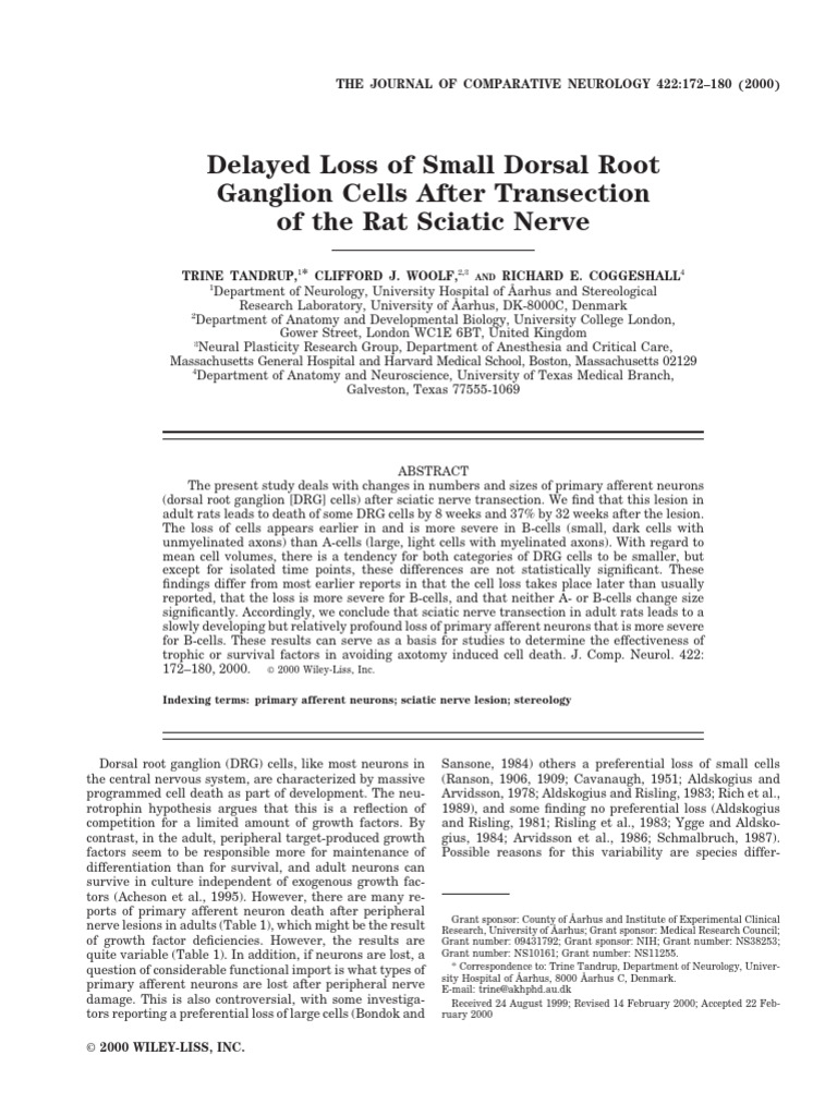 Delayed Loss of Small Dorsal Root Ganglion Cells After Transection of ...
