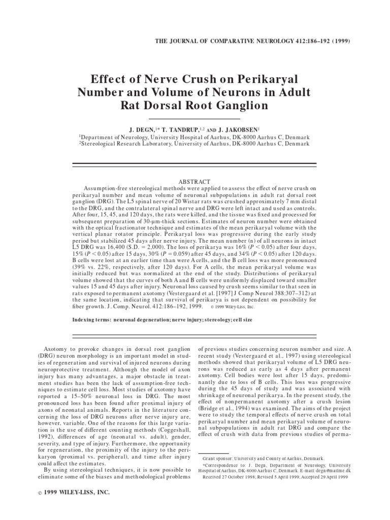 Effect of Nerve Crush On Perikaryal Number and Volume of Neurons in ...