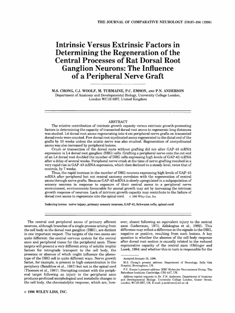 Intrinsic Versus Extrinsic Factors in Determining The Regeneration of ...