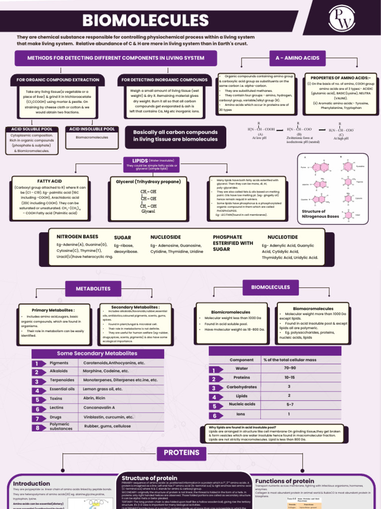 Biomolecules | PDF | Cofactor (Biochemistry) | Enzyme