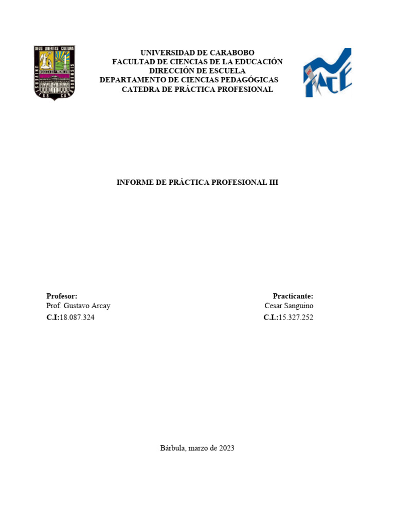 Informe de Práctica Profesional | PDF