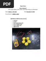 Lemon Battery Explanation | PDF | Electrochemistry | Electrode