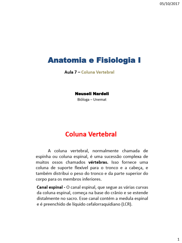 Anatomia da Coluna Vertebral | PDF | Coluna vertebral | Vértebra
