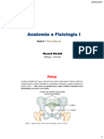 Anatomia do Osso Ilíaco e Pelve | PDF | Coluna vertebral | Pélvis