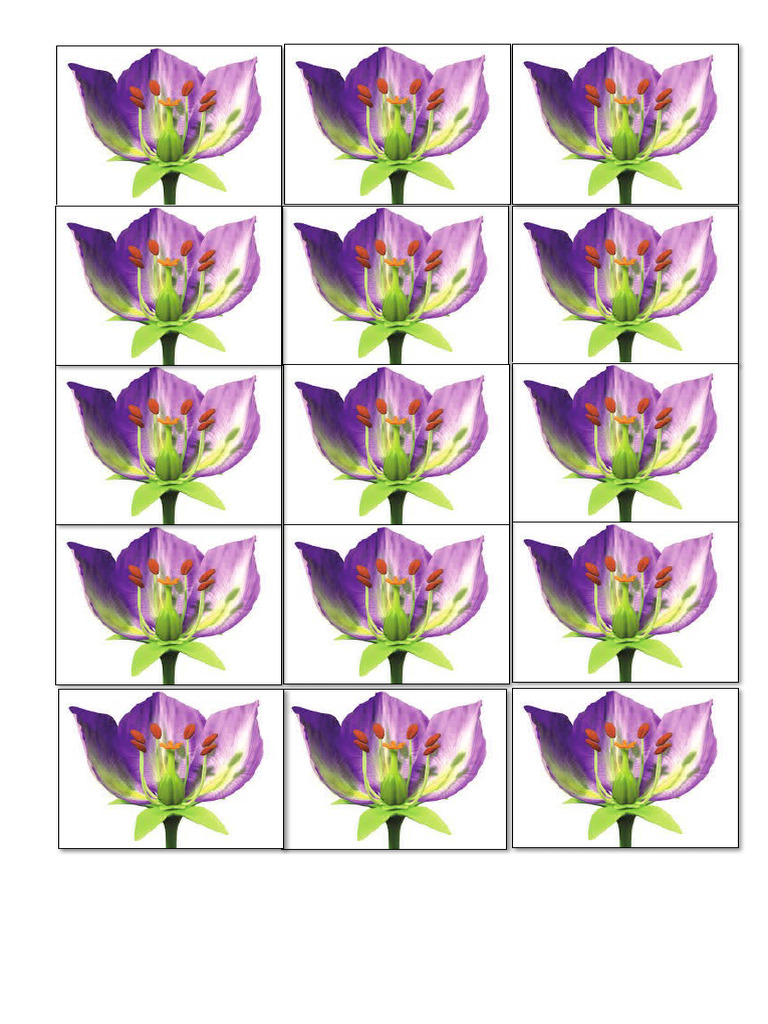 Struktur Bunga | PDF