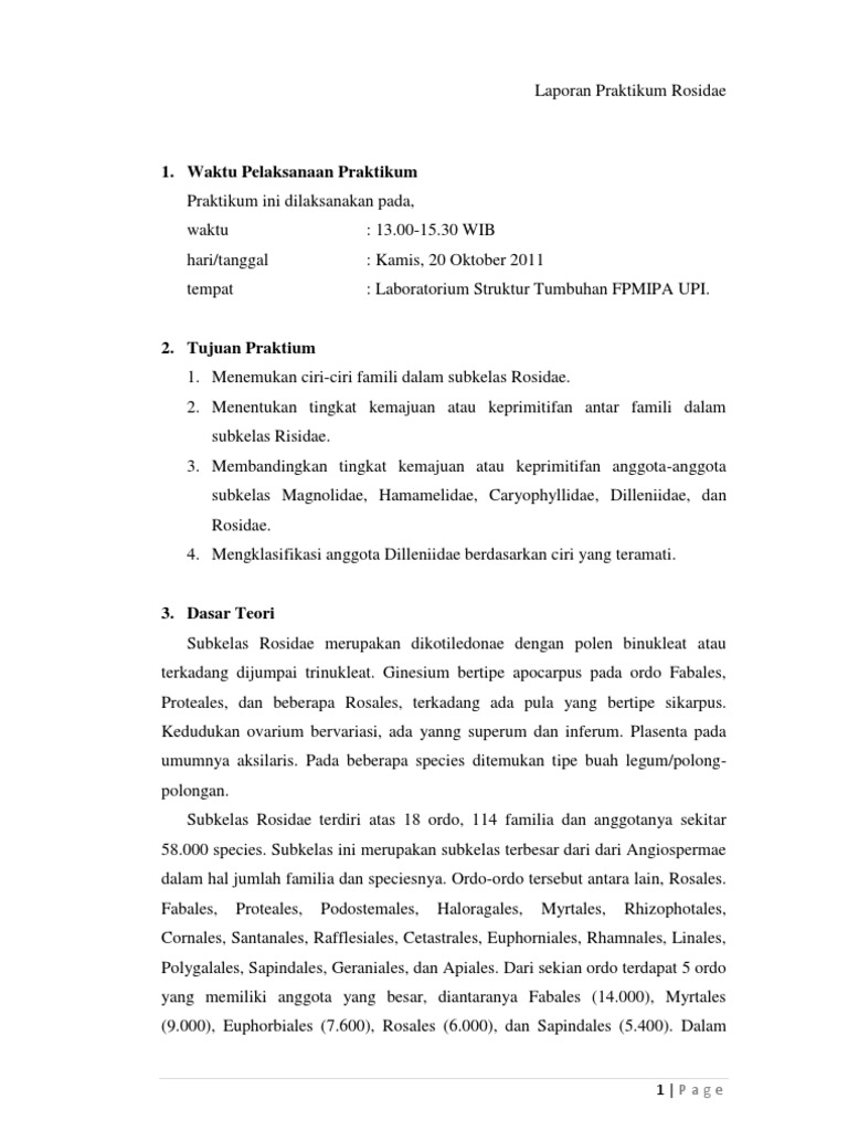 Laporan Praktikum Rosidae | PDF