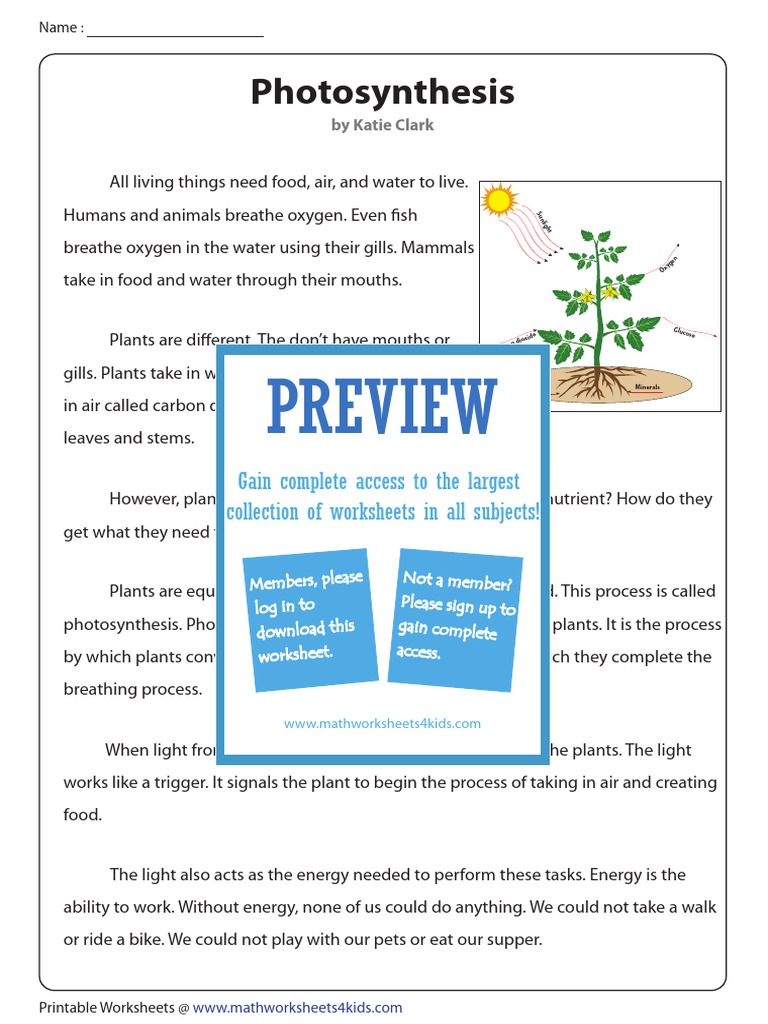 Photosynthesis Reading Comp | PDF