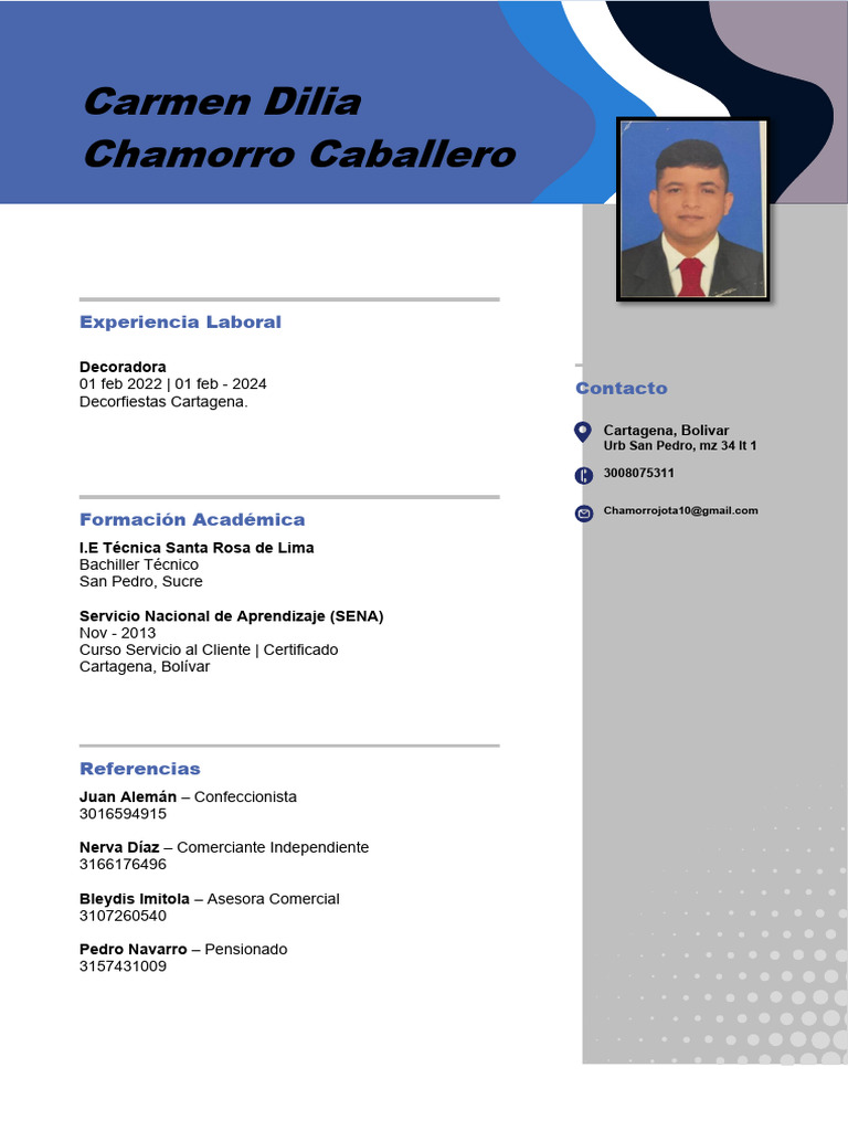 Hoja de Vida Carmen | PDF