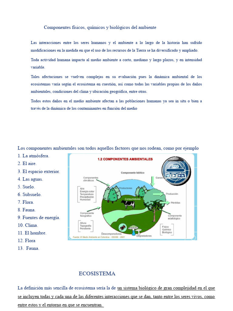 Componentes Físicos, Químicos y Biológicos Del Ambiente | PDF ...