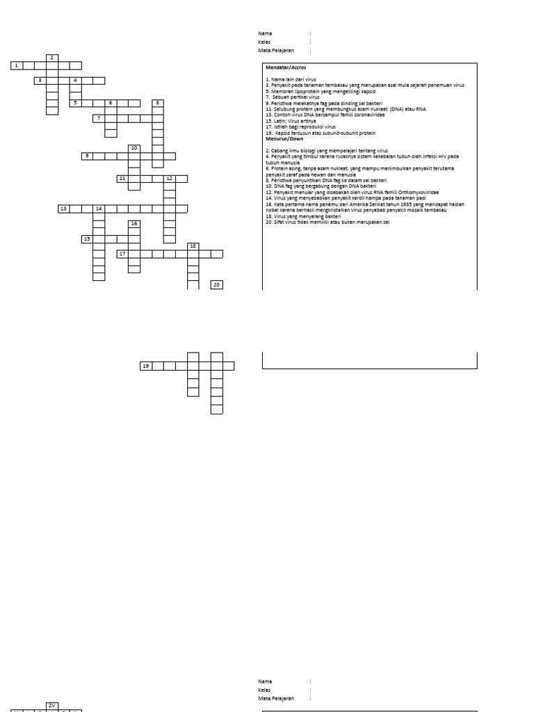 Bagan TTS Virus | PDF