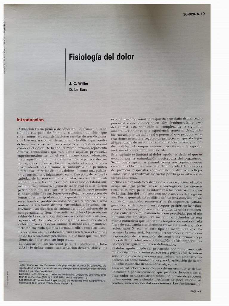 Fisiología Del Dolor | PDF
