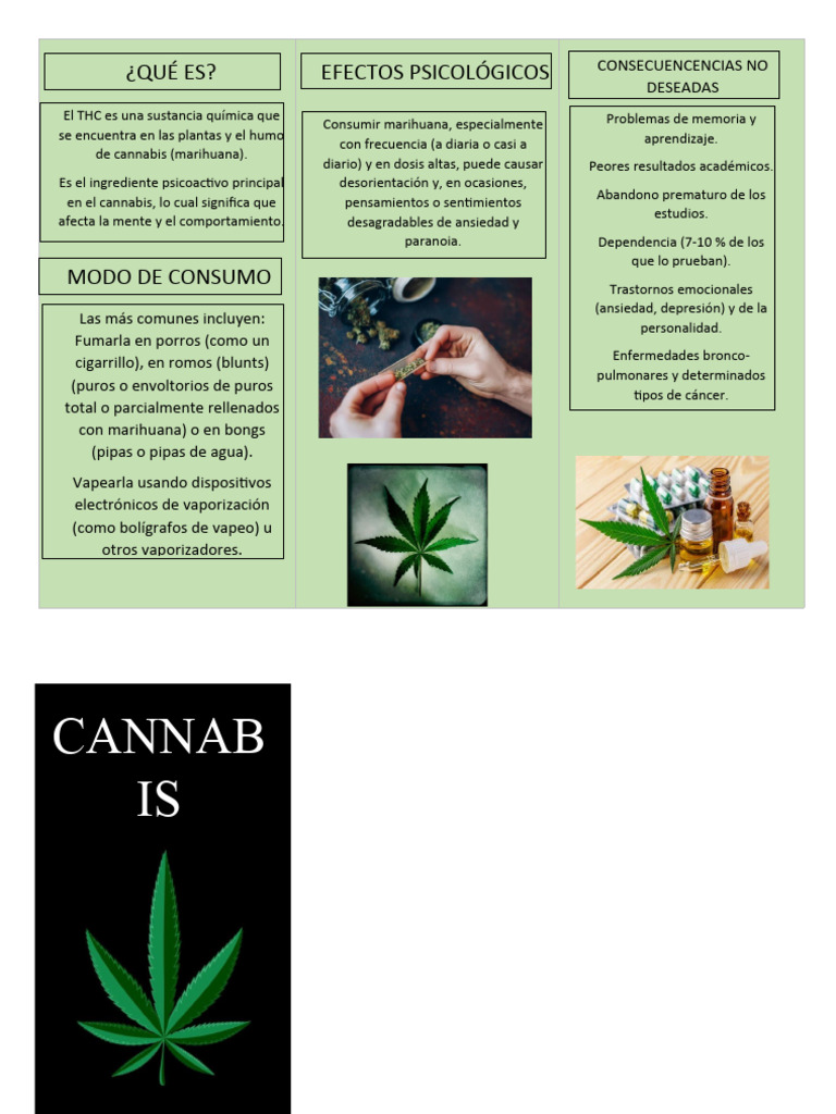 CANNABIS | PDF