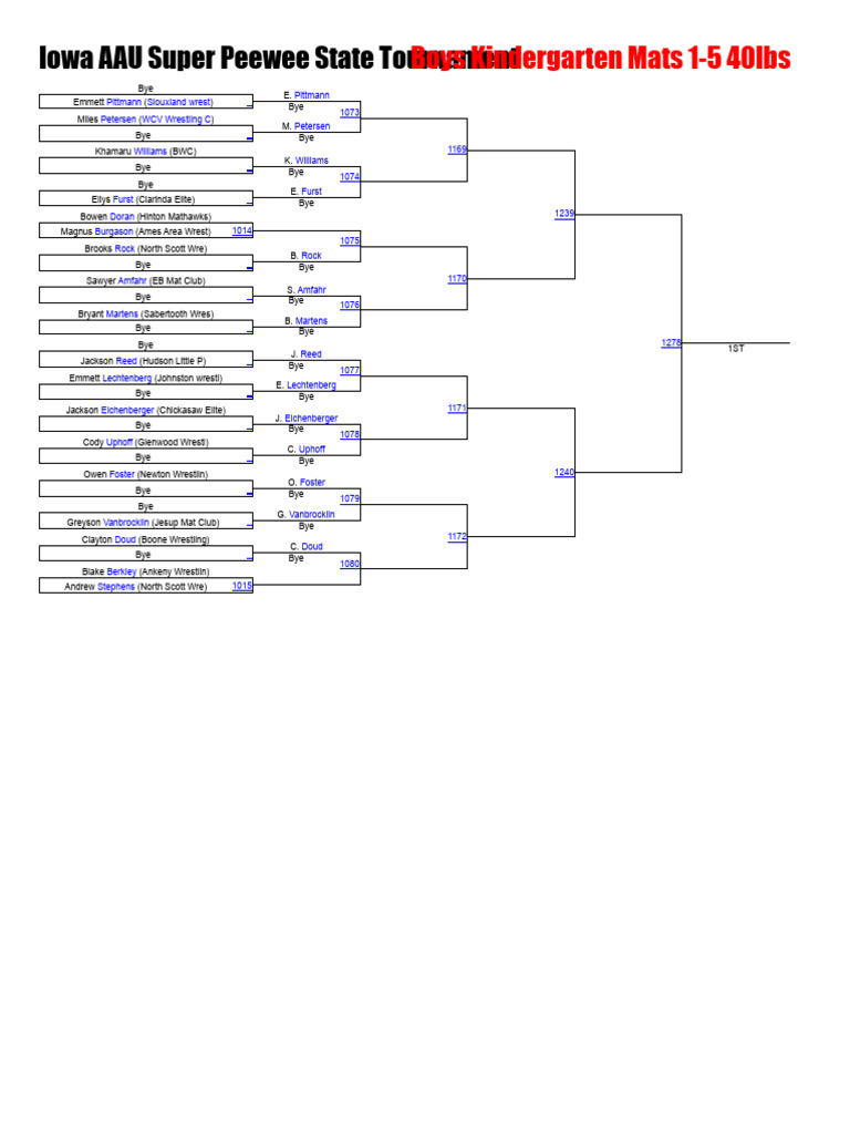2024 Super Pee Wee Brackets | PDF | Mixed Martial Arts Styles | Combat Sports