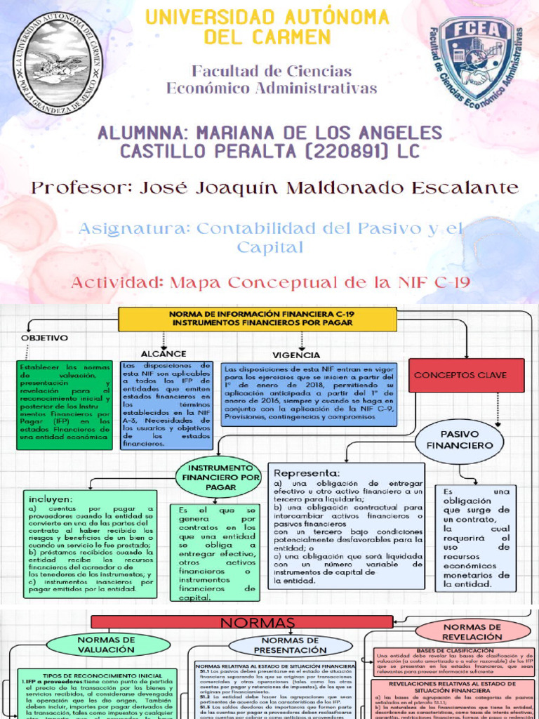 MACP Mapa Conceptual de La NIF C-19 | PDF