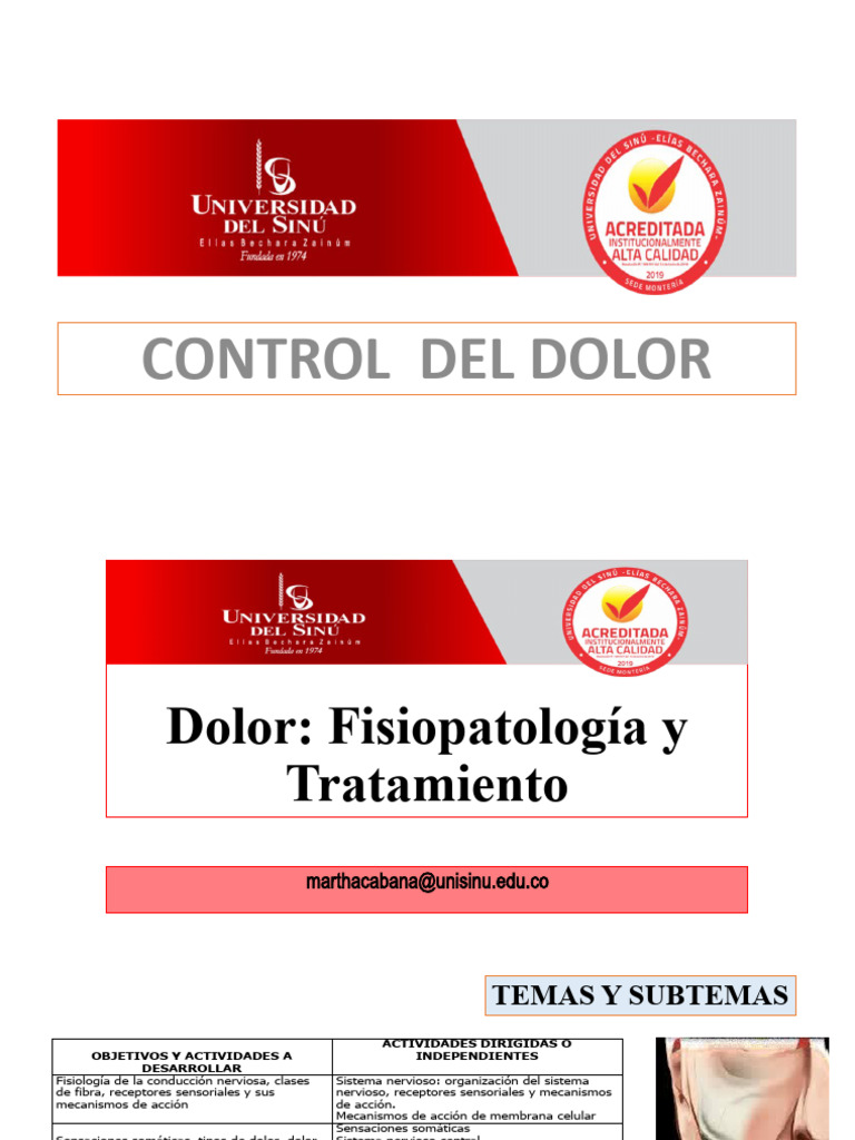 Dolor - PPTX 2019-2 | PDF | Dolor | Analgésico