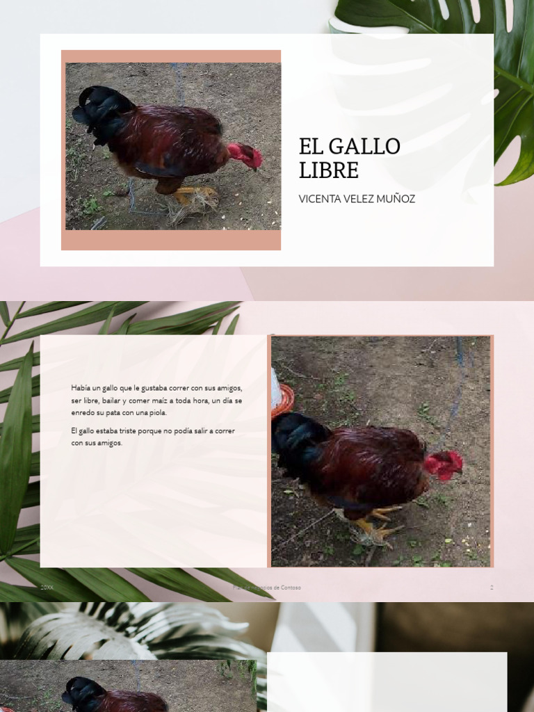El Gallo Libre | PDF