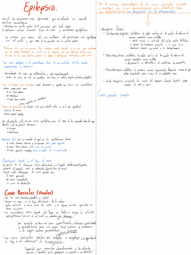 Grid 1 | PDF