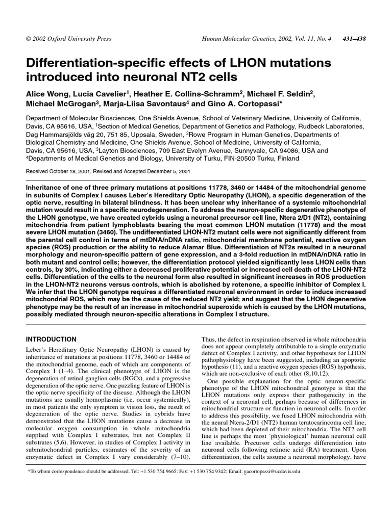 Differentiation-Specific Effects of LHON Mutations Introduced Into ...
