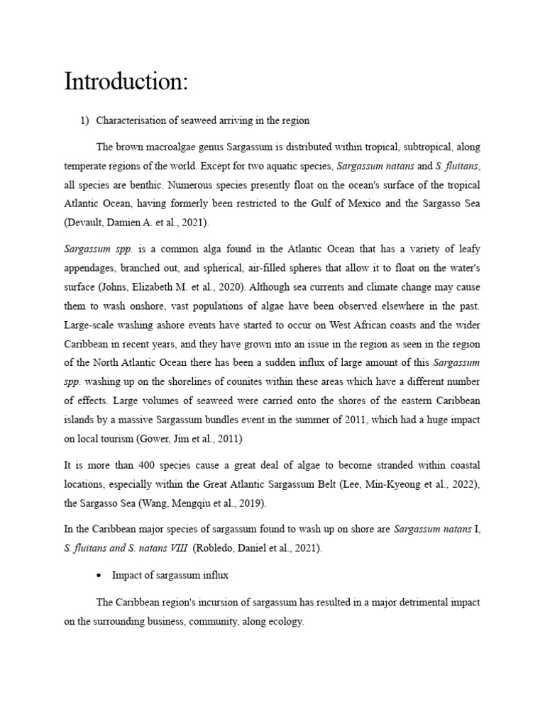 Intro, Method and Lit Review | PDF