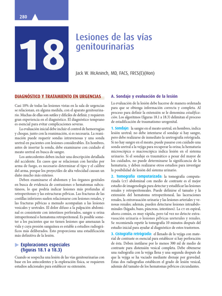 uro 1 | PDF | Riñón | Sistema urinario