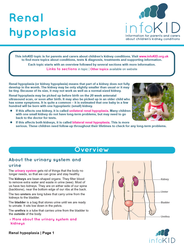 infoKID Renal Hypoplasia All | PDF