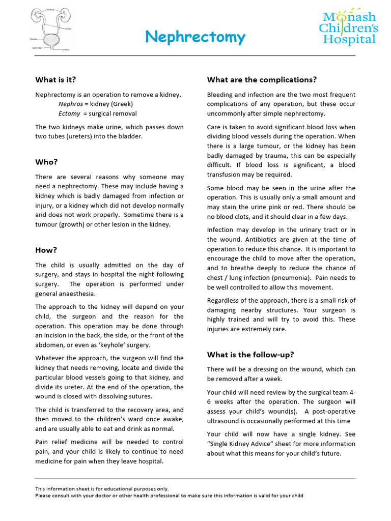 Nephrectomy | PDF