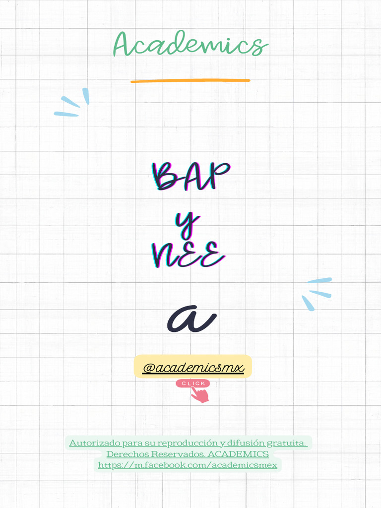 BAP y NEE | PDF | Discapacidad visual