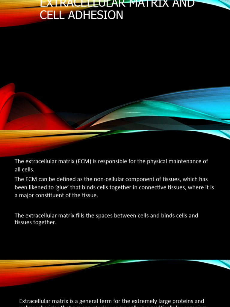 Extracellular Matrix and Cell Adhesion | PDF