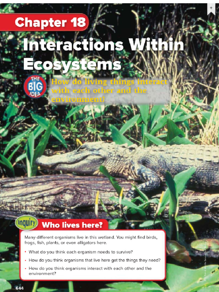 Ecosystem Interactions and Terms Guide | PDF | Coral Reef | Ecosystem