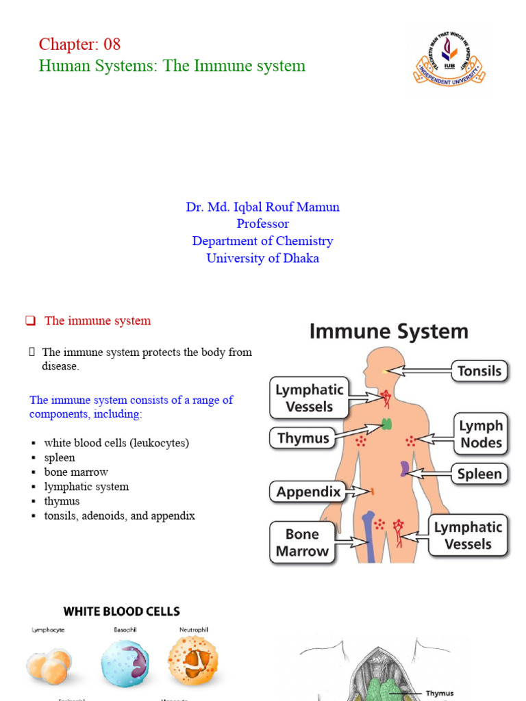 Chapter-8 Bio100 Mirm | PDF