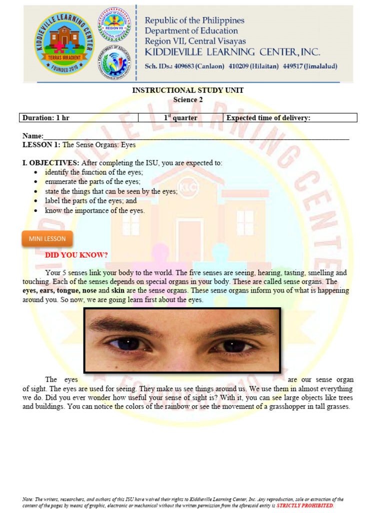 Lesson 1 - Scie 2 - Eyes | PDF | Senses | Neuroscience