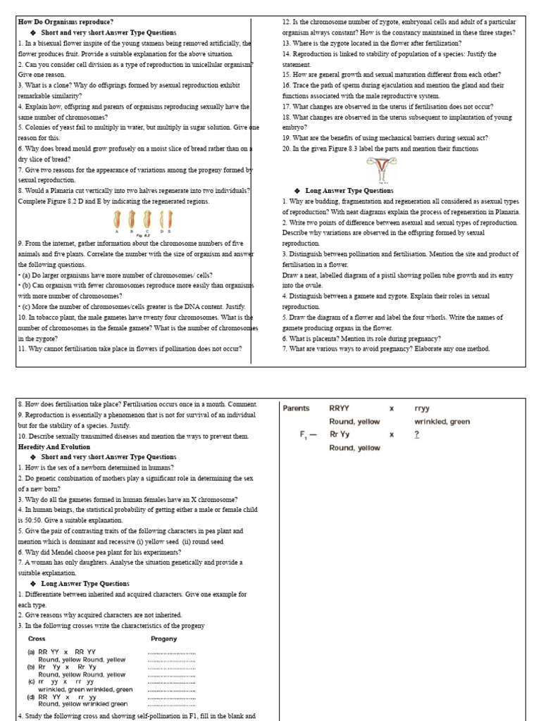 Competency Based Biology Questions | PDF