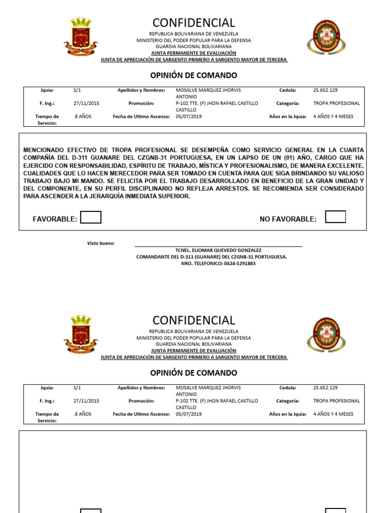 2.-Opinion de Comando | PDF | Sargento | Gobierno