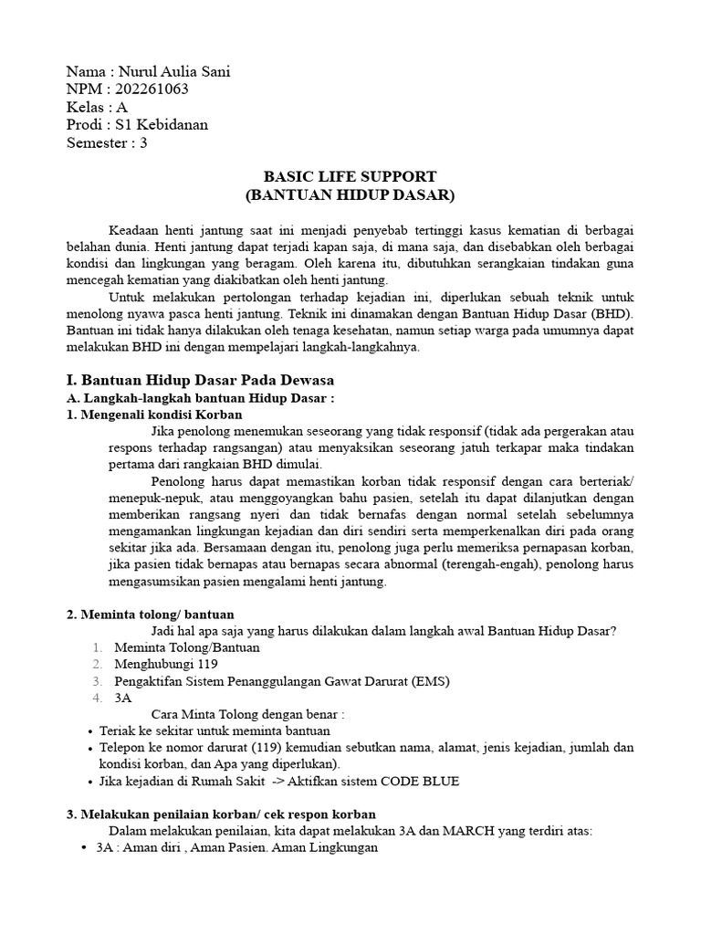 Resume BHD Nurul Aulia Sani 202261063 | PDF