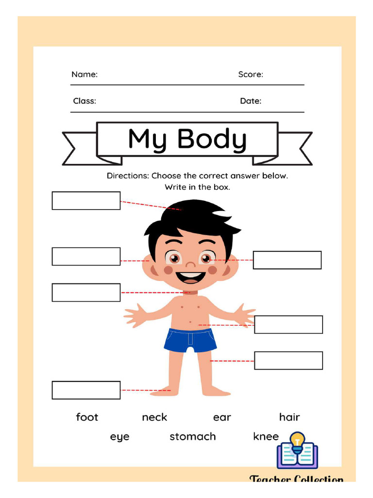 My Body | PDF