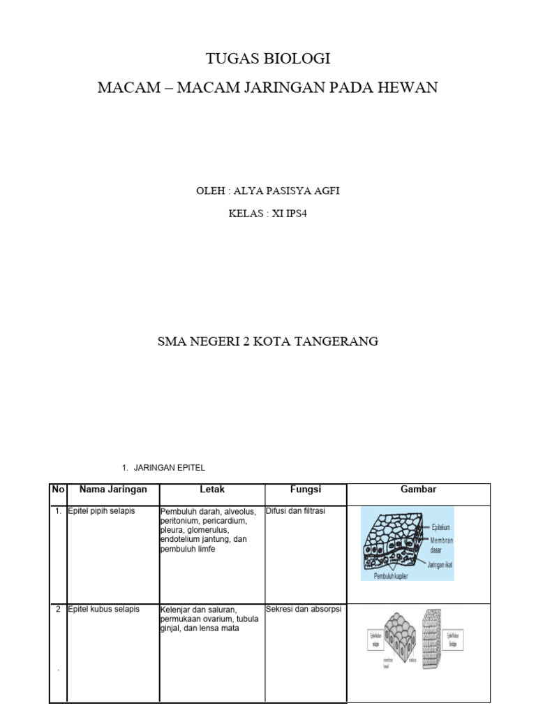 Macam Macam Jaringan Pada Hewan | PDF Macam Macam Jaringan Pada Hewan | PDF